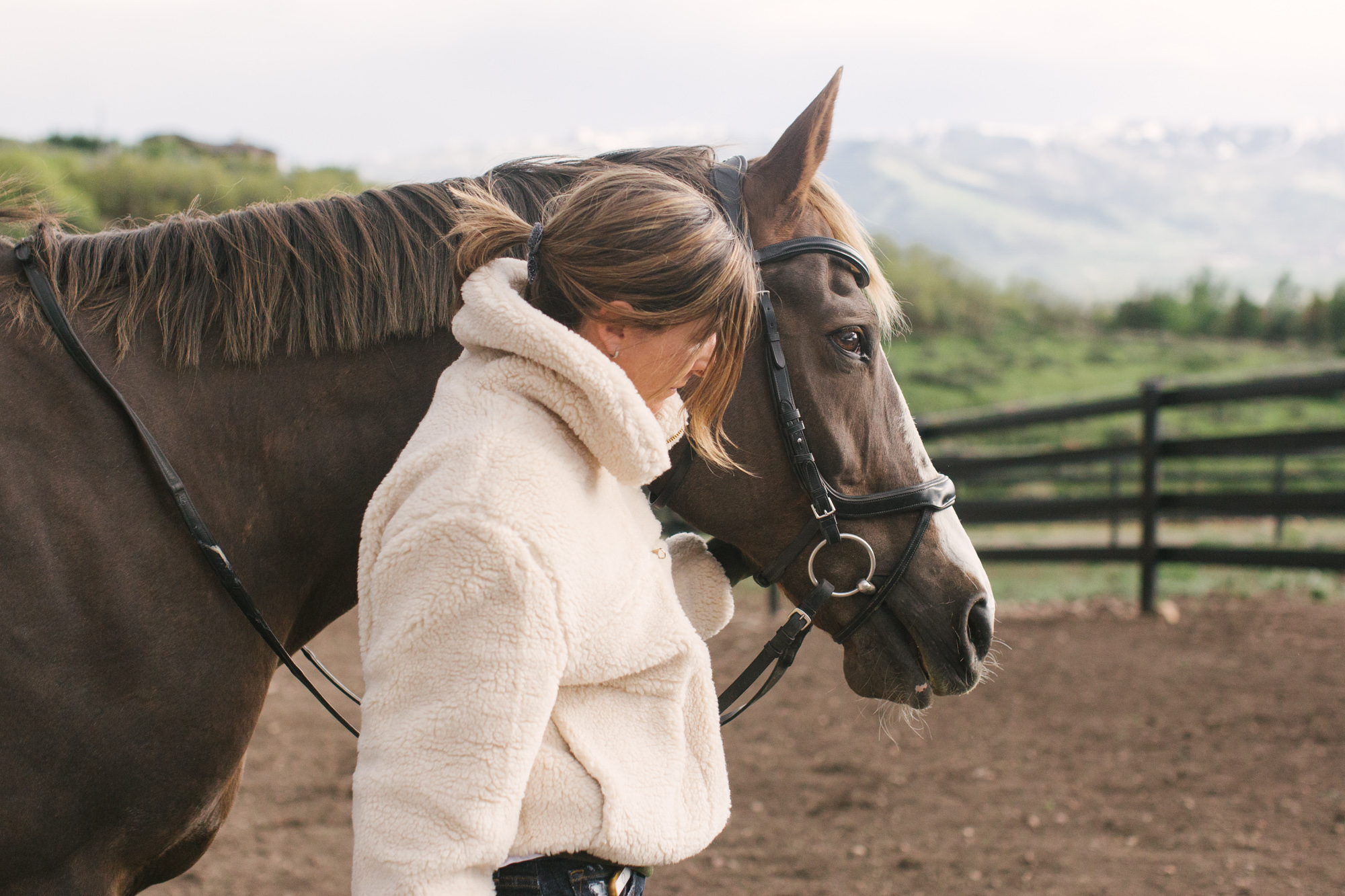 My Daily Barn Routine - Your Horse Farm